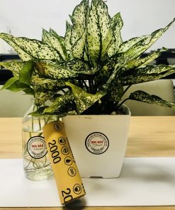 GIẤY NHÁM CAO CẤP 3M 02044 WETORDRY ABRASIVE SHEET P2000